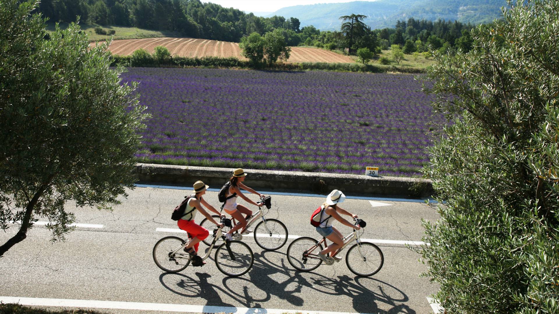 Office de tourisme Pays d'Apt Luberon