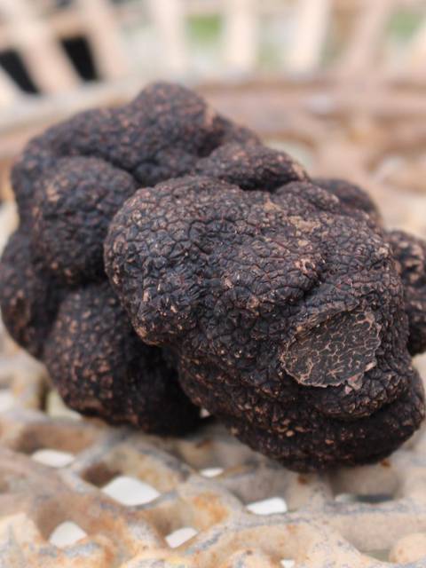 Actualité du Pays d'Apt Luberon | BLOG de l'Office de Tourisme